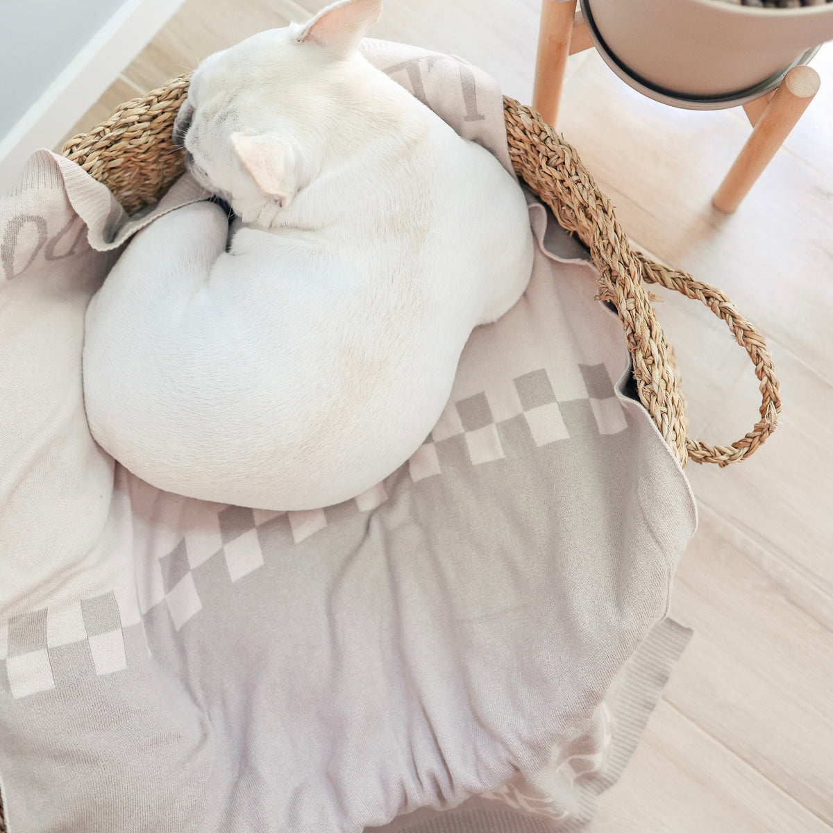 LET DOGS BE DOGS BLANKET – Lambwolf Collective